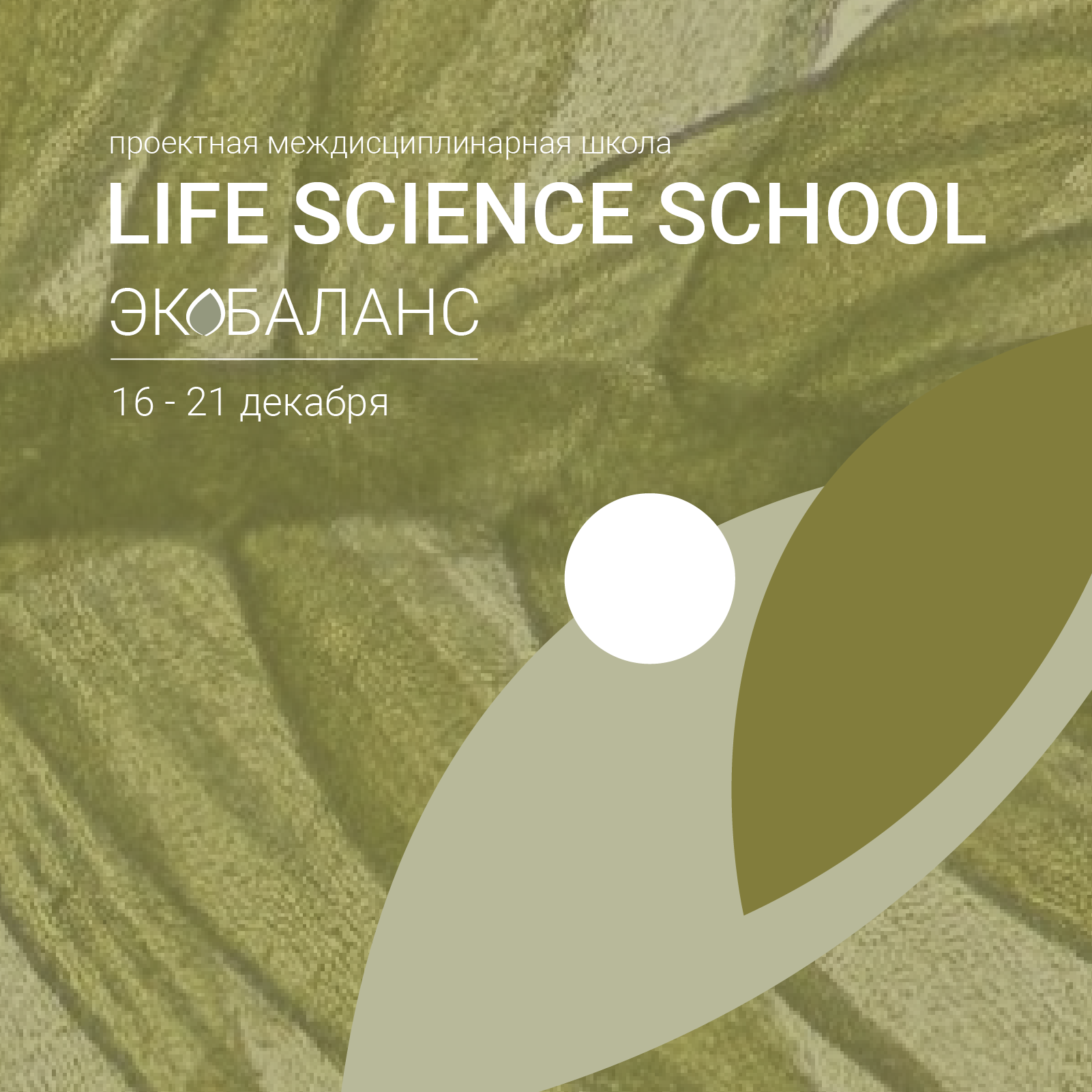 Life Science School: ЭКОБАЛАНС – ТЕХНОПАРК РГПУ им. А.И. Герцена
